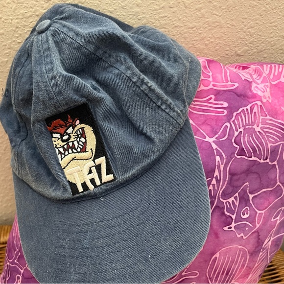 Warner Bros. | Accessories | Vintage Looney Tunes Taz Hat 995 ...